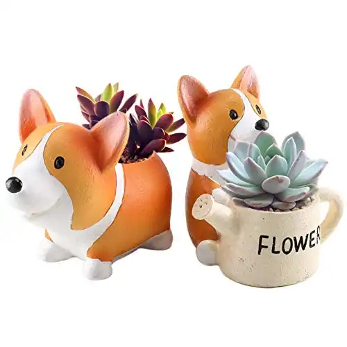 Mini Corgi Planter Pots – Home And Wild